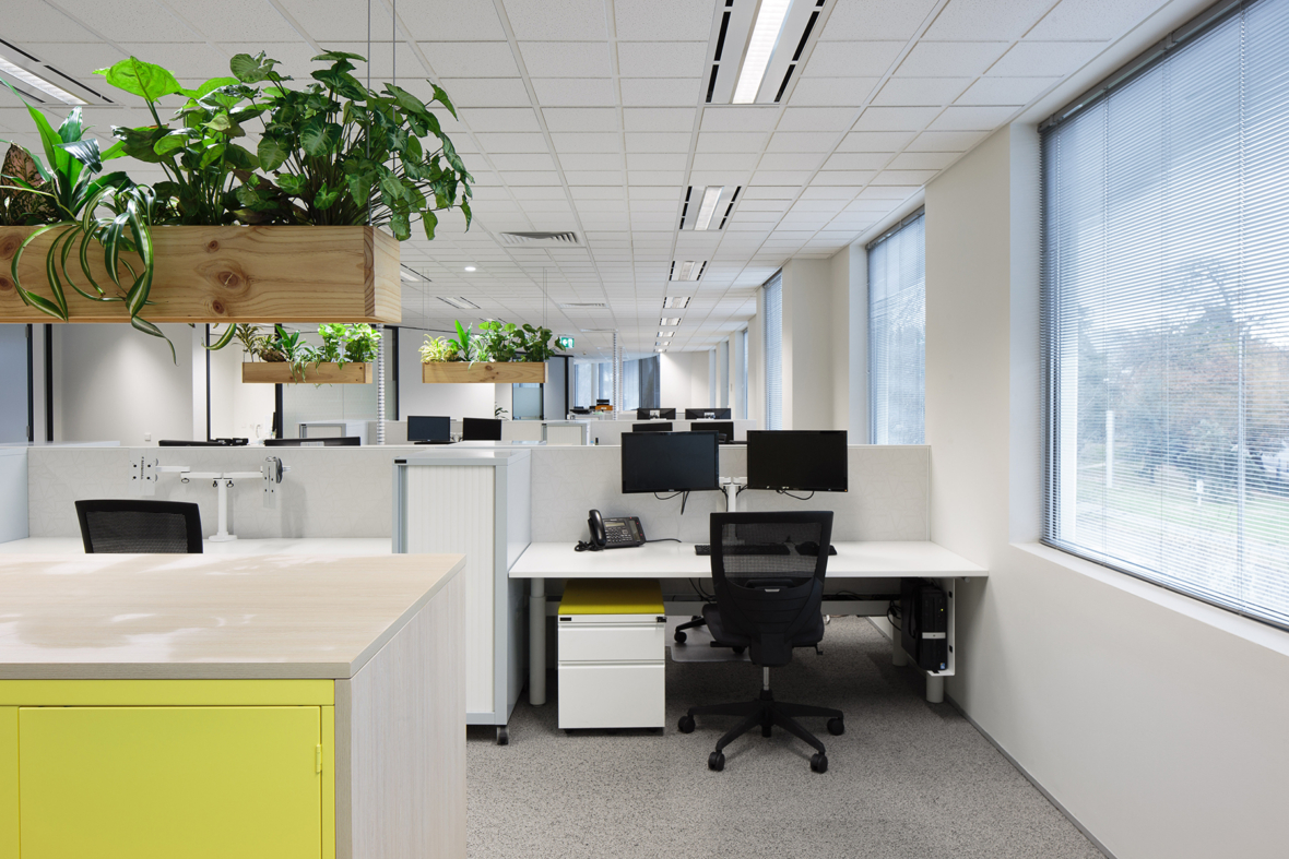 MGI | Joyce Dickson Fitout – AMC Architecture